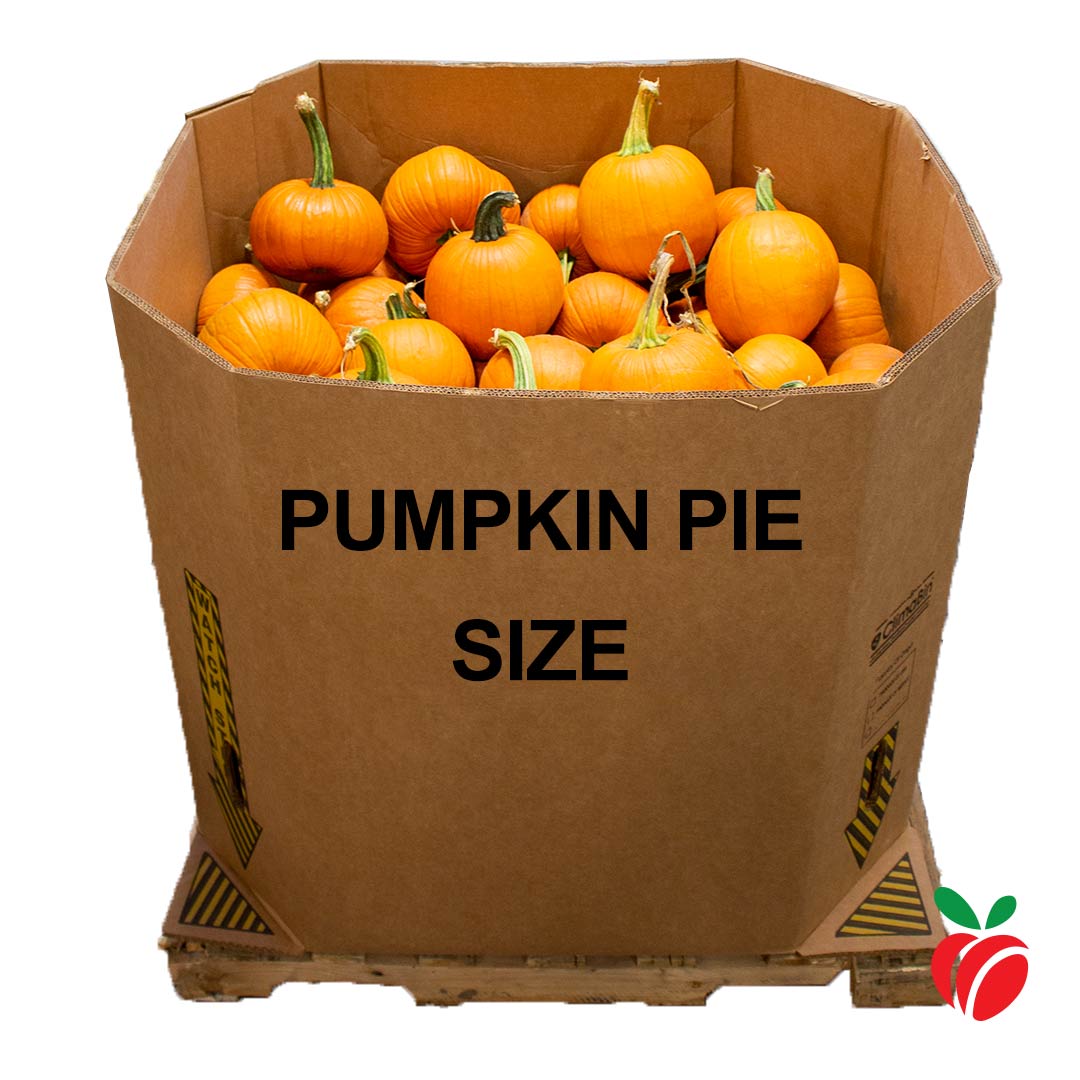Pumpkin Bins 2022