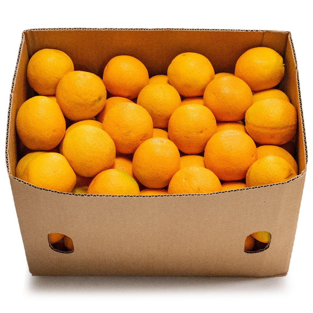 Cherries Are Back! And More! 7.06.23 – 7.08.23