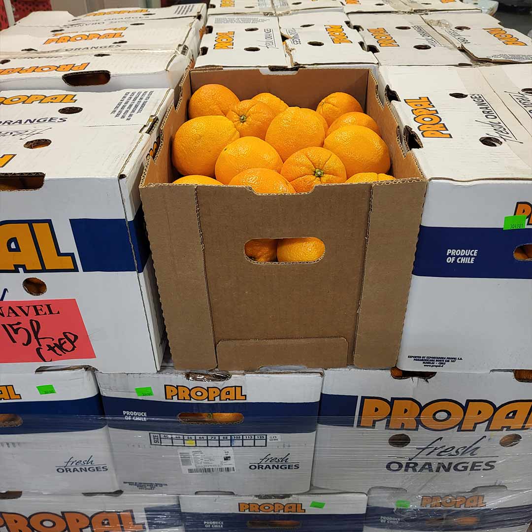 STRAWBERRY & BLUEBERRY BULK UP! 9.13.23 – 9.16.23