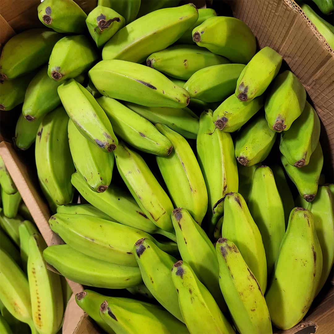 Fresh Produce Sales 11.15.23 – 11.18.23