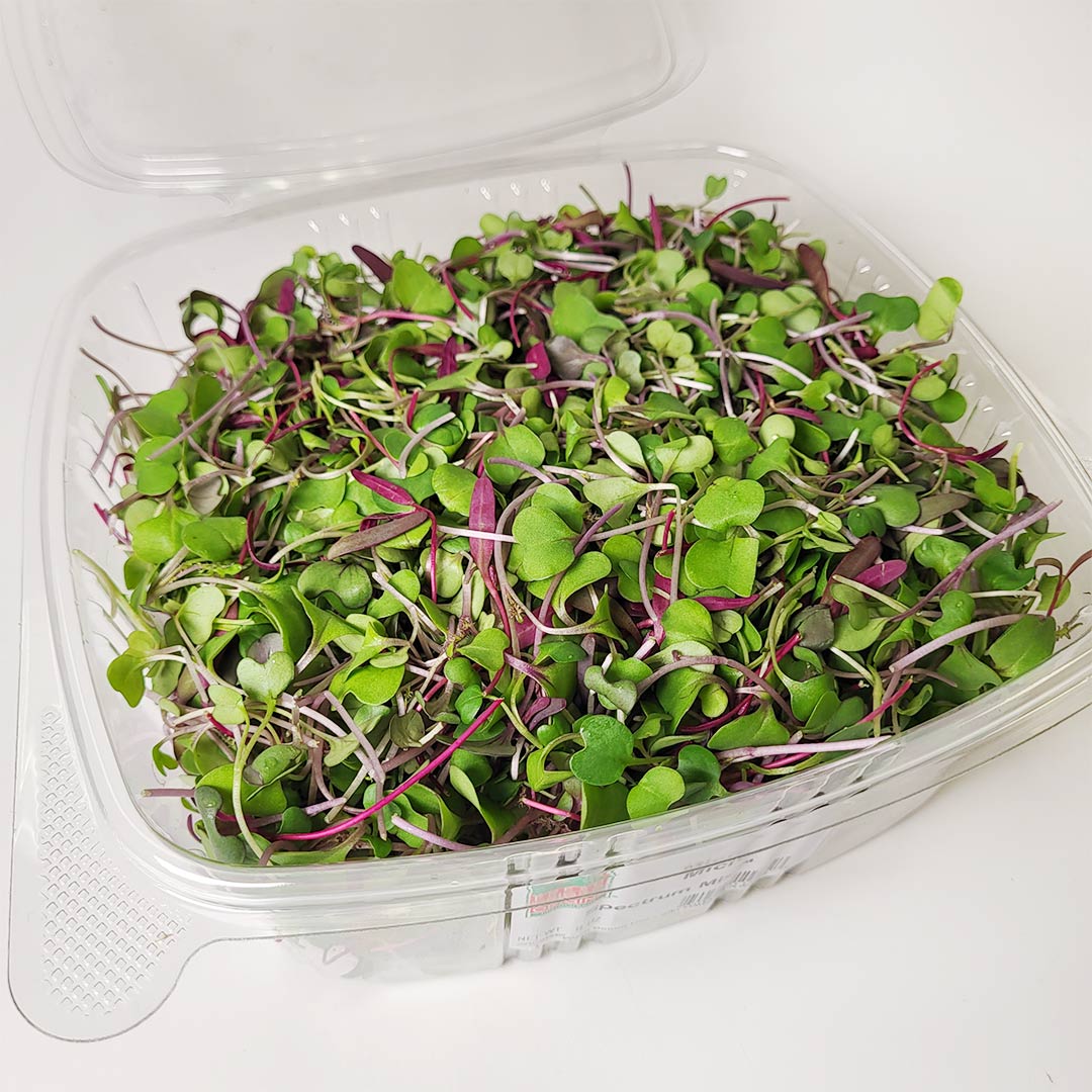 ‘Twas a few days before Christmas 12.21.23 – 12.23.23