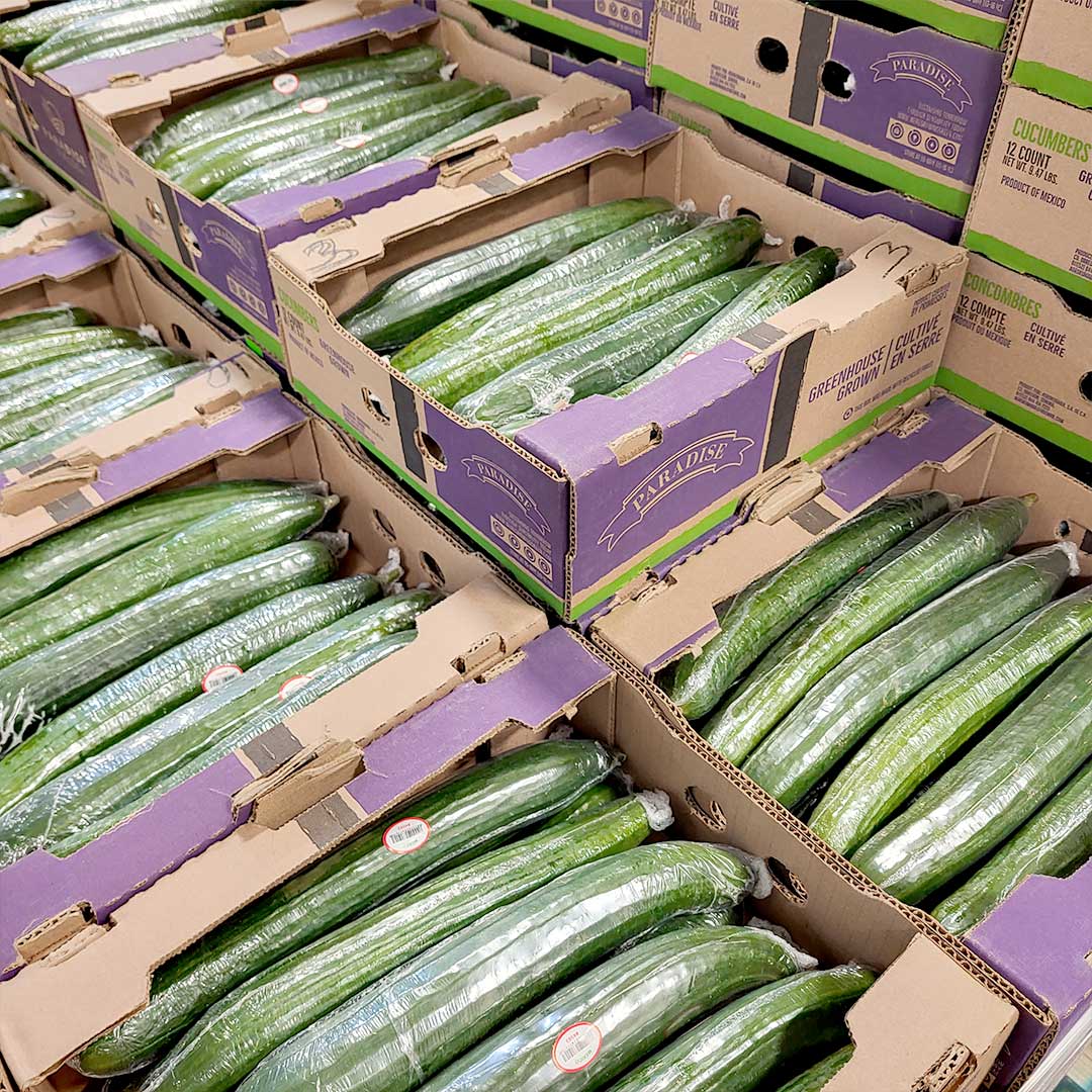 Fiesta Time + Strawberries! 4.18.24 – 4.20.24