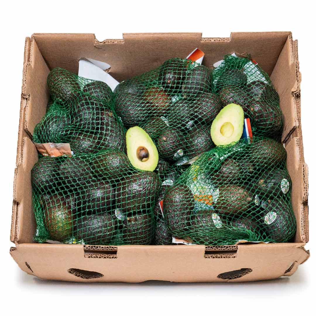 Memorial Day+ Bulk Sales 5.27.24 – 6.01.24