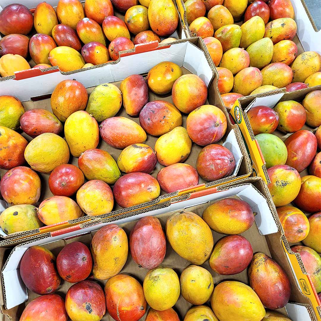 Strawberries, Avocados, Mangoes, and more! 5.17.24 – 5.18.24