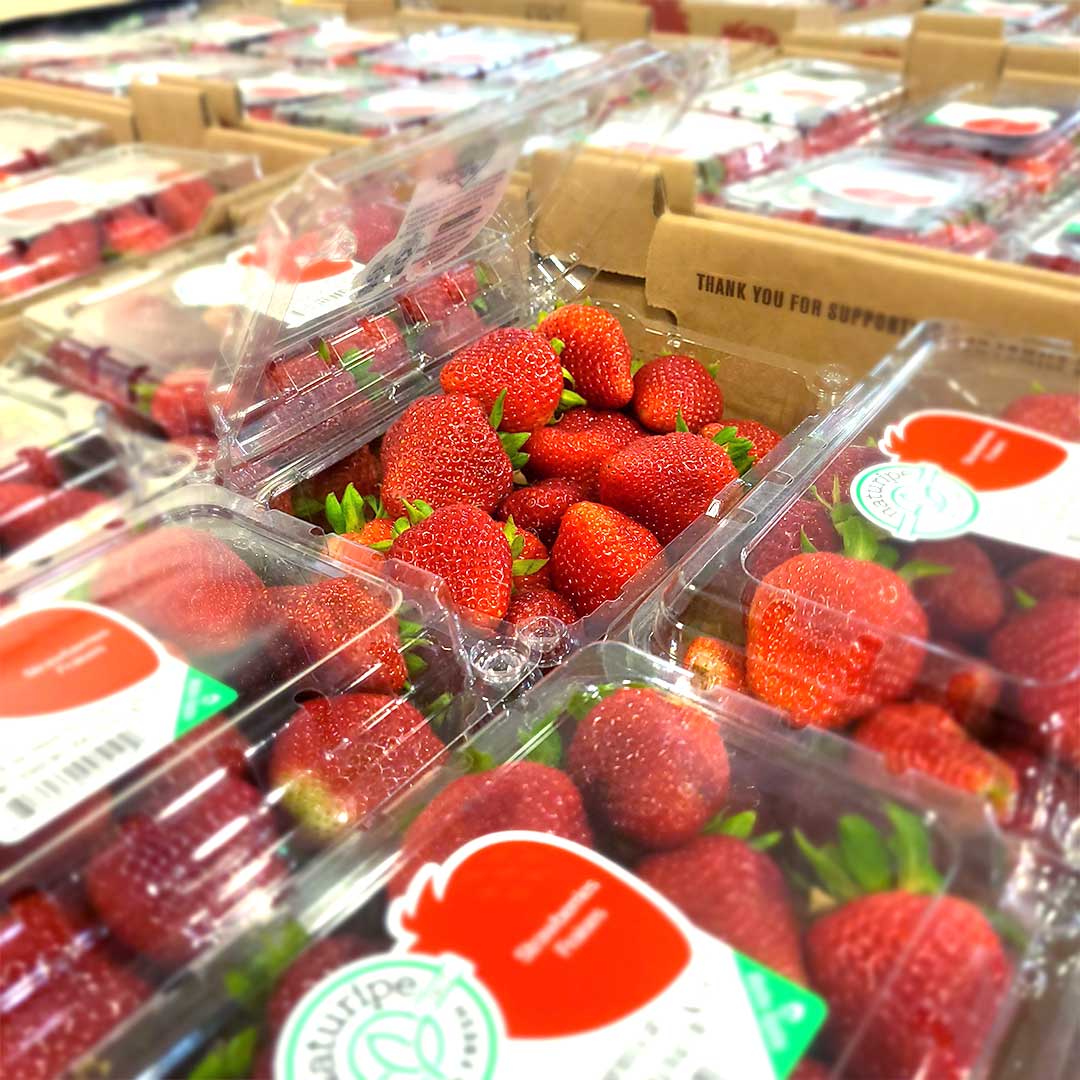 BULK STRAWBERRIES + RED CHERRIES! 6.03.24 – 6.09.24