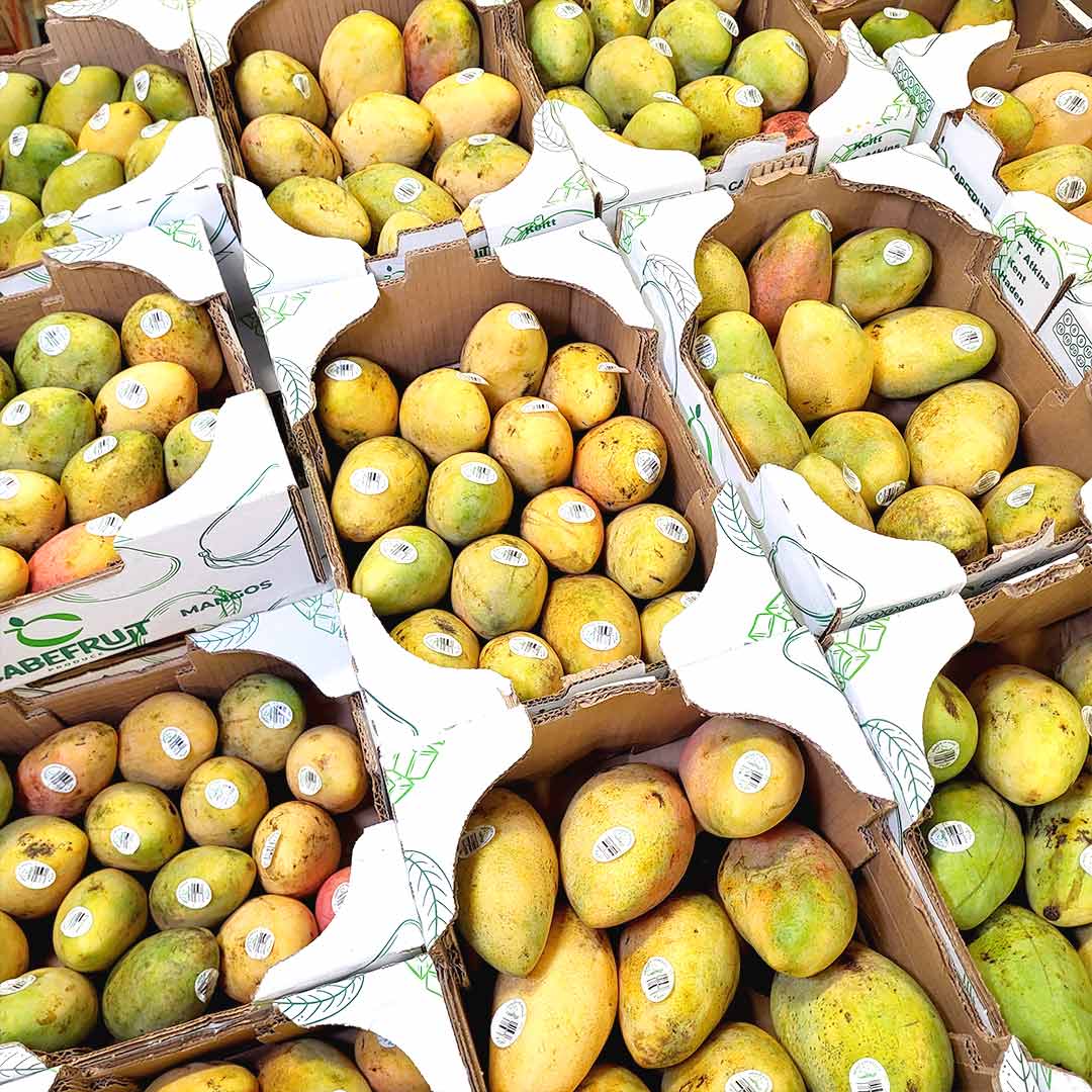 Everybody’s Family Fruit Bulk Sales 9.02.24 – 9.07.24