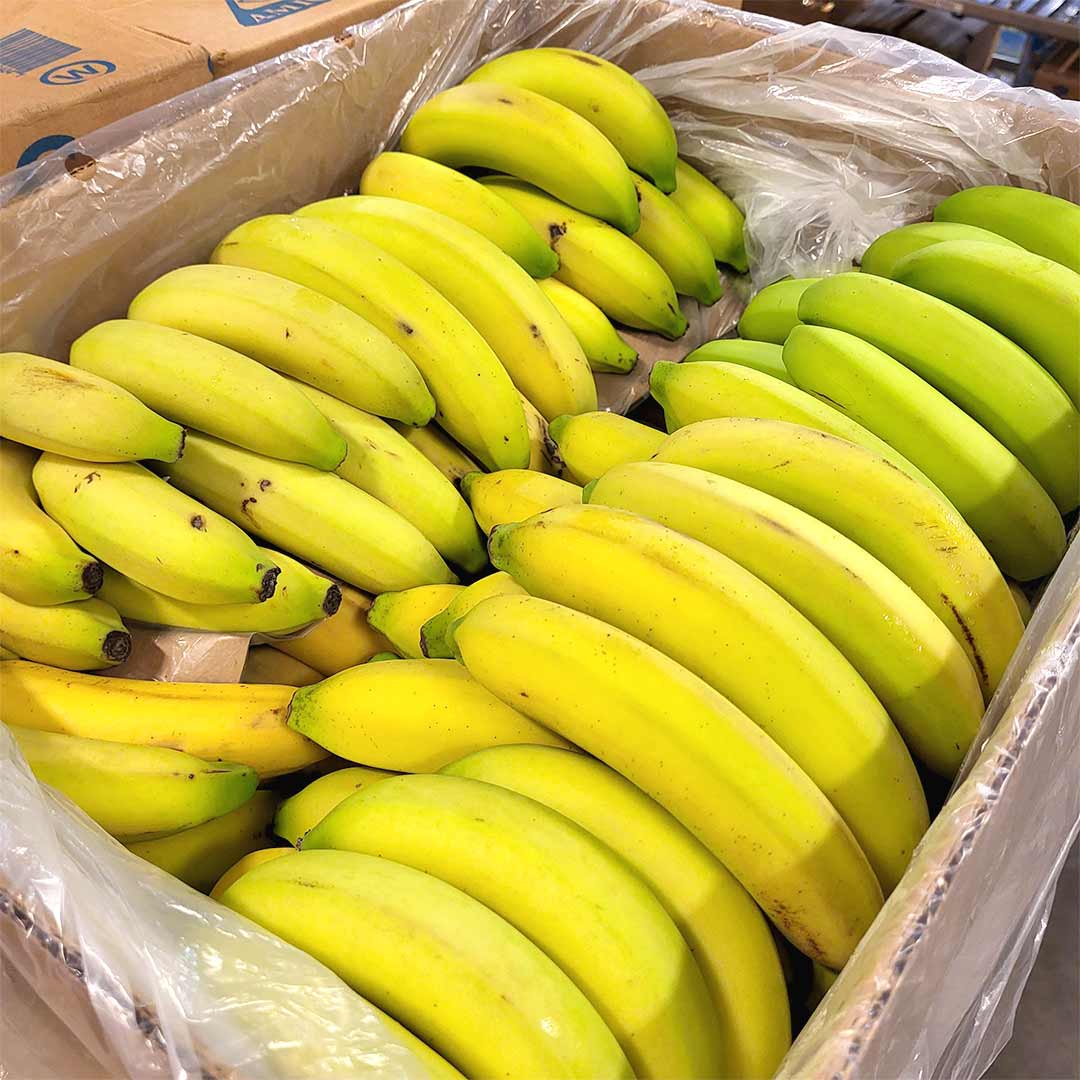 Everybody’s Family Fruit 1.3.25 – 1.4.25