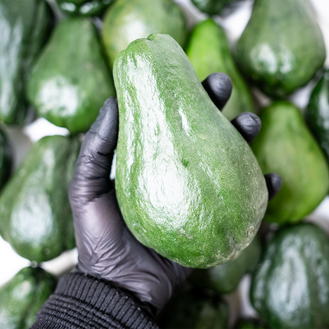 Everybody’s Family Fruit 1.27.25 – 2.01.25